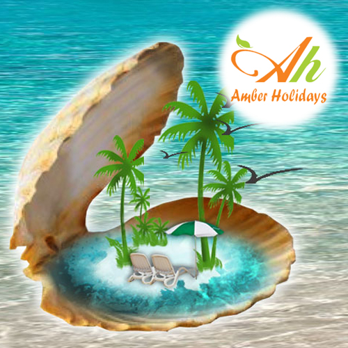 Amber Holidays, Aurangabad - Tours & Travels